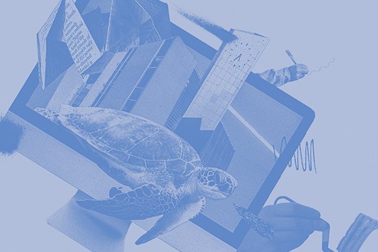 Candidaturas ao CTeSP em Design de Jogos e Animação Digital — Escola ...