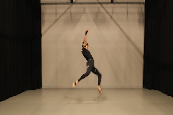 AnyMation | Um olhar abrangente sobre as múltiplas perspetivas da ...